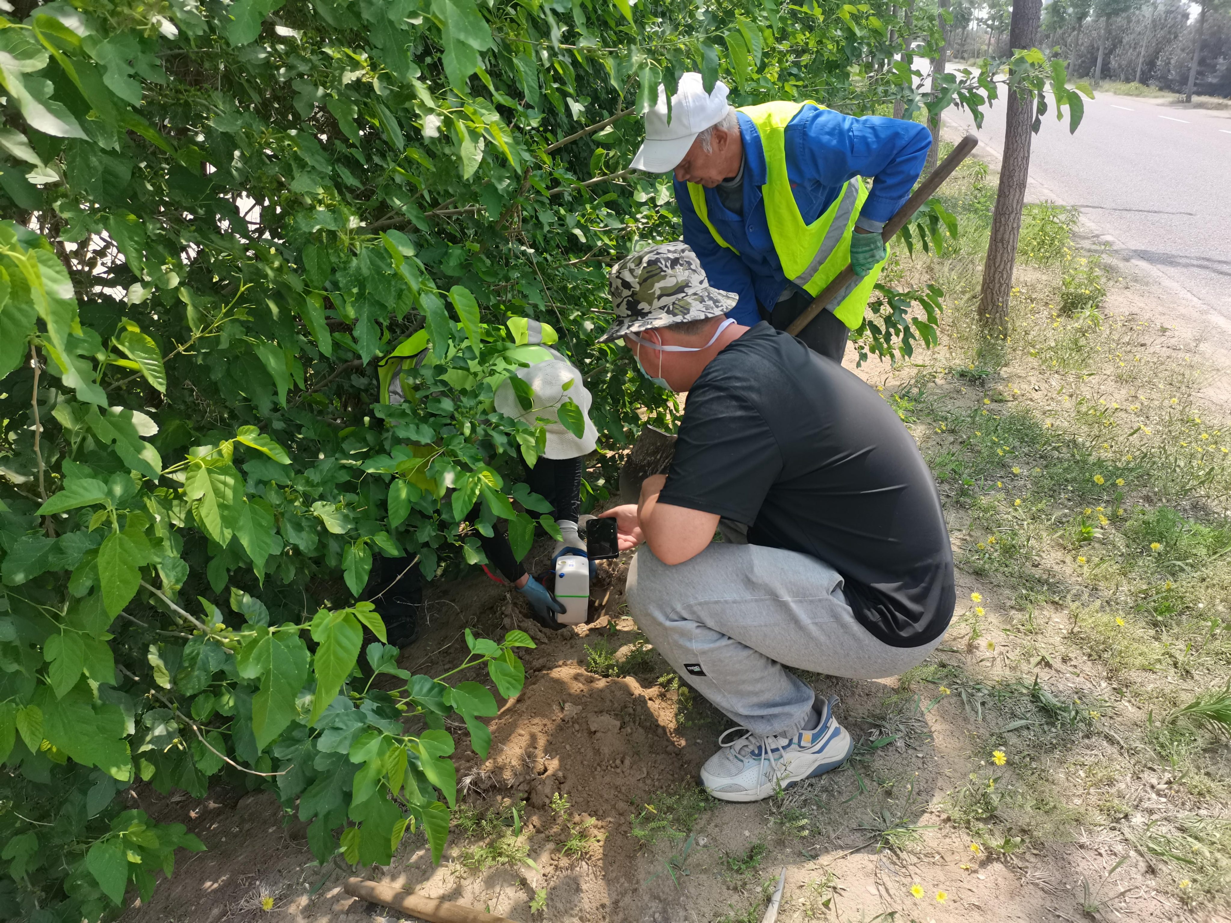 SmartSolo & AI: Transforming Large-N Seismic Surveys - SmartSolo